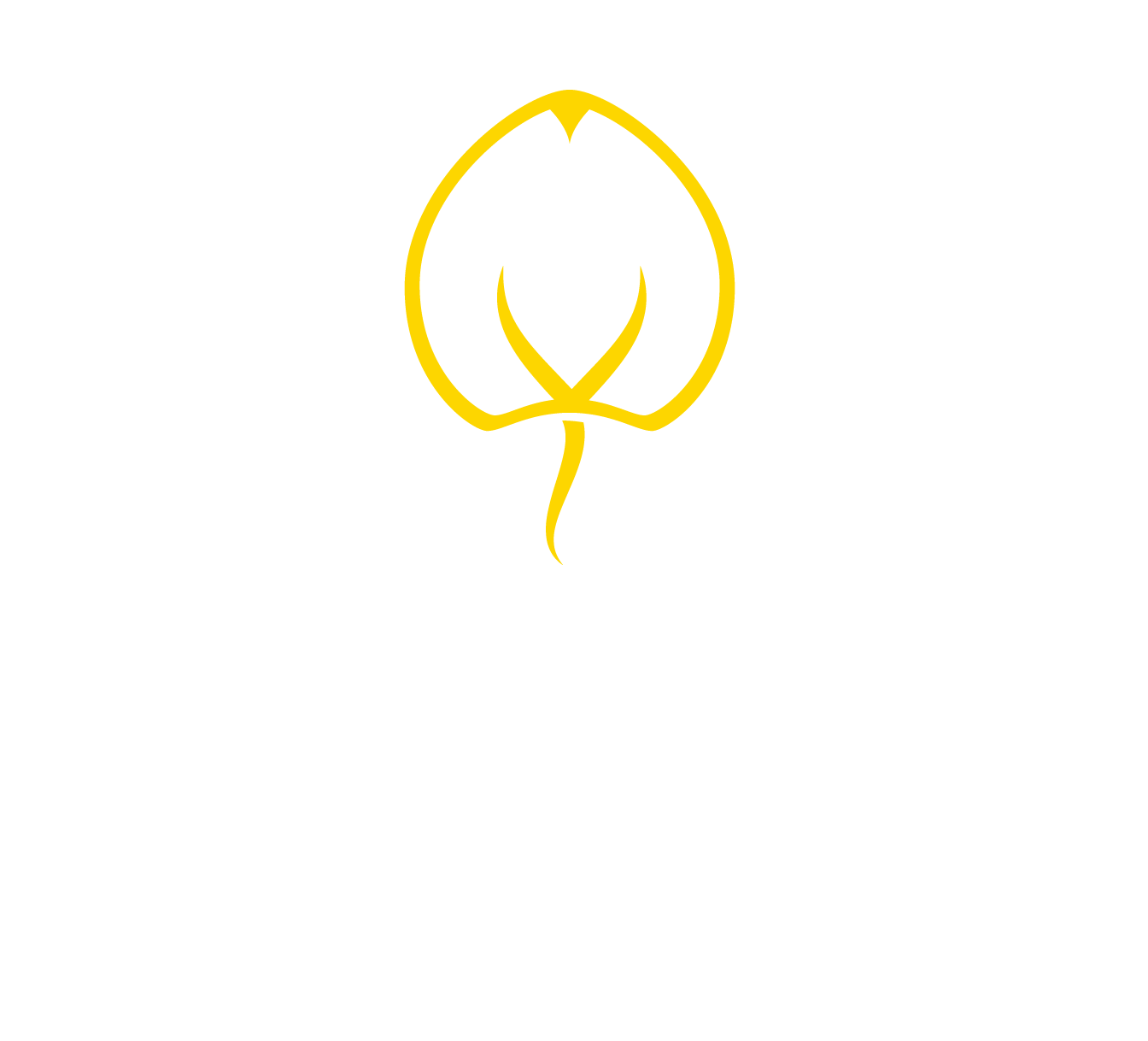 Welcome to the store